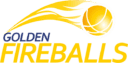 Telkom Netball League | Premier South African Netball Competition